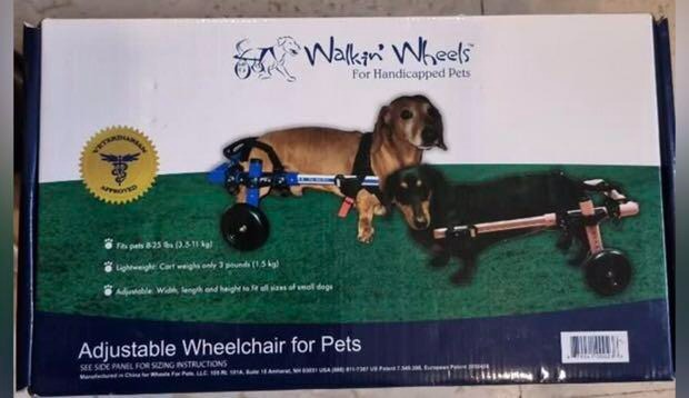 Walkin' Wheels Adjustable Wheelchair for Senior Pet Dog IVDD Walkin ...