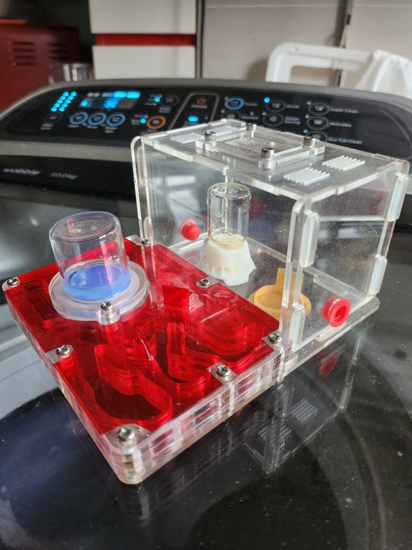 Ant Formicarium Box Container, Pet Supplies, Homes & Other Pet ...