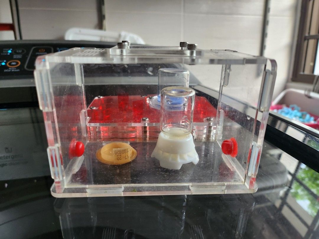 Ant Formicarium Box Container, Pet Supplies, Homes & Other Pet ...