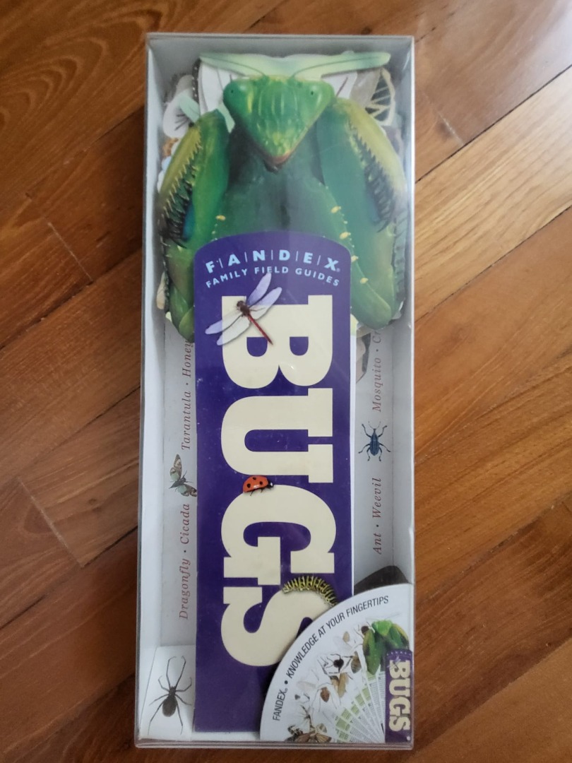Bug Field Guide (Cards), Hobbies & Toys, Toys & Games on Carousell