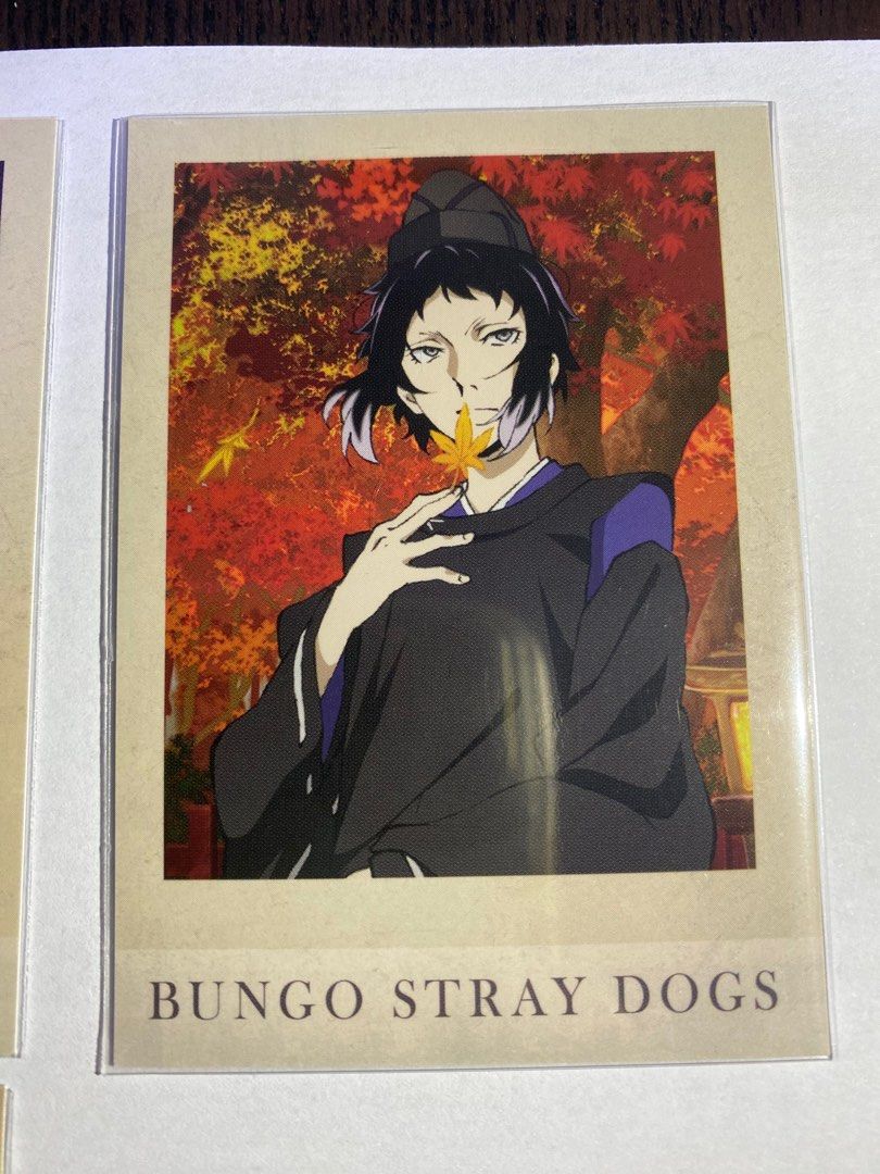 bungo stray dogs polaroid cards, mayoi and pashakore (akutagawa ...