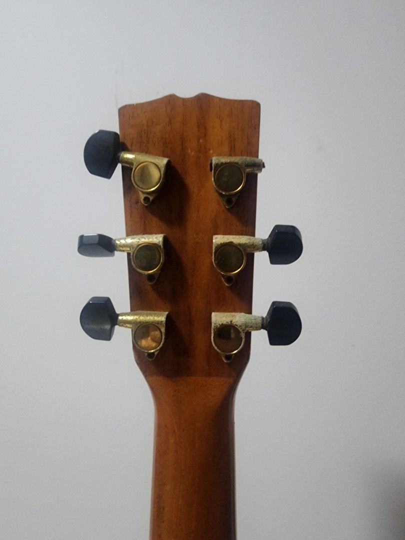 Custom Acoustic Electric Guitar (Slight Defect), Hobbies & Toys, Music ...