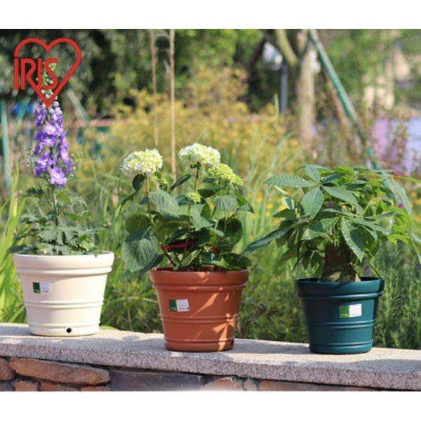 JCLSGP IRIS Nordic Flower Pot Tiger Pilan, Furniture & Home Living ...