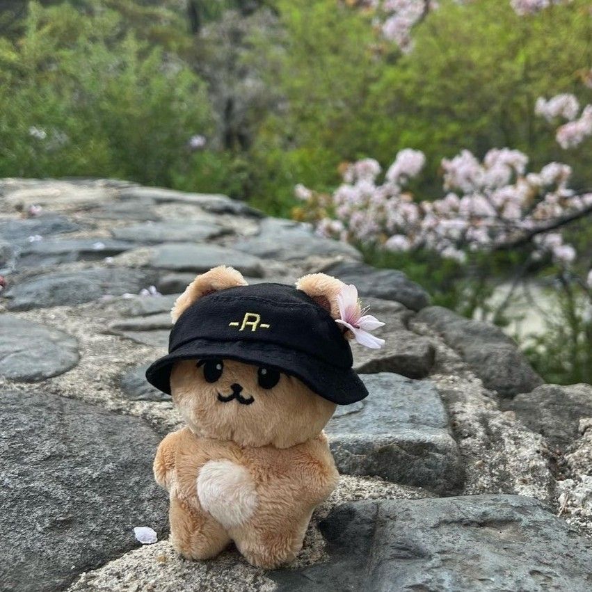 LF/WTB 10cm doll Posie squirrel blackpink rosé fan union, Hobbies ...