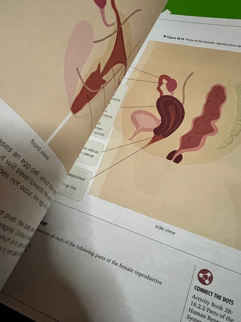 science textbook 2B {lower secondary}, Hobbies & Toys, Books ...