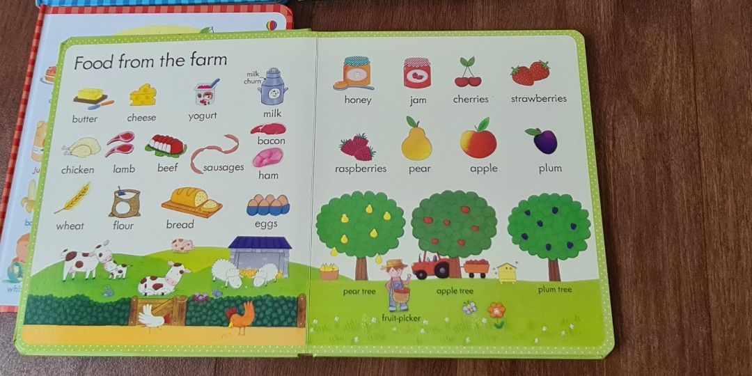 Usborne My First Word Book, Hobbies & Toys, Books & Magazines, Children ...