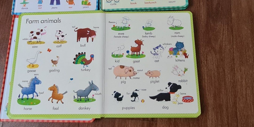 Usborne My First Word Book, Hobbies & Toys, Books & Magazines, Children ...