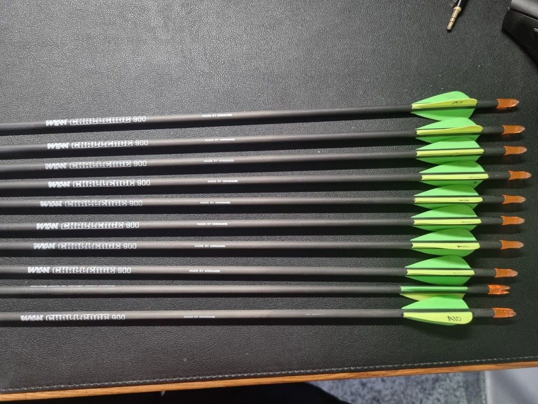 Win&Win Challenge 900 Arrows, Sports Equipment, Other Sports Equipment ...