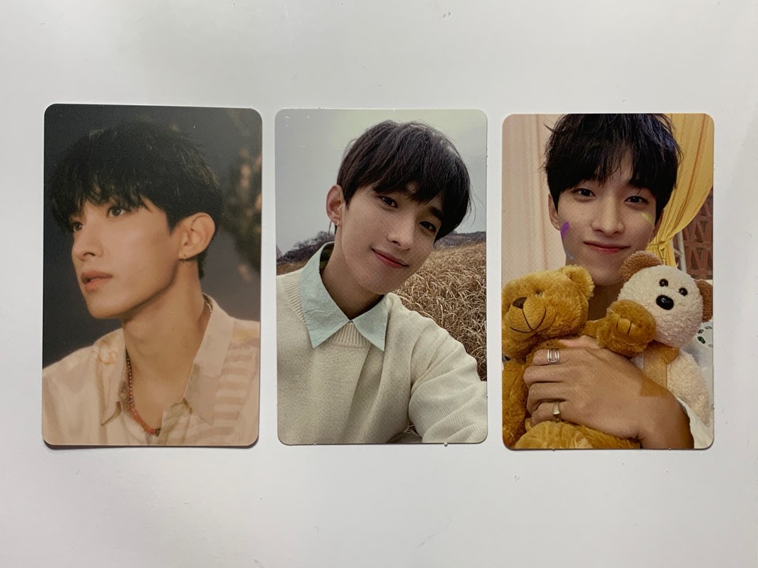 [ wts / lfb ] seventeen teddy bear dokyeom dk face the sun fts weverse ...