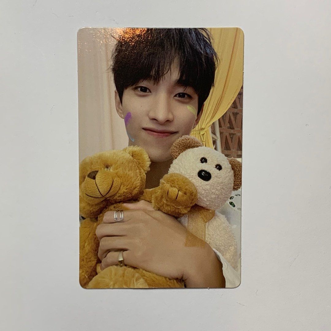 [ wts / lfb ] seventeen teddy bear dokyeom dk face the sun fts weverse ...
