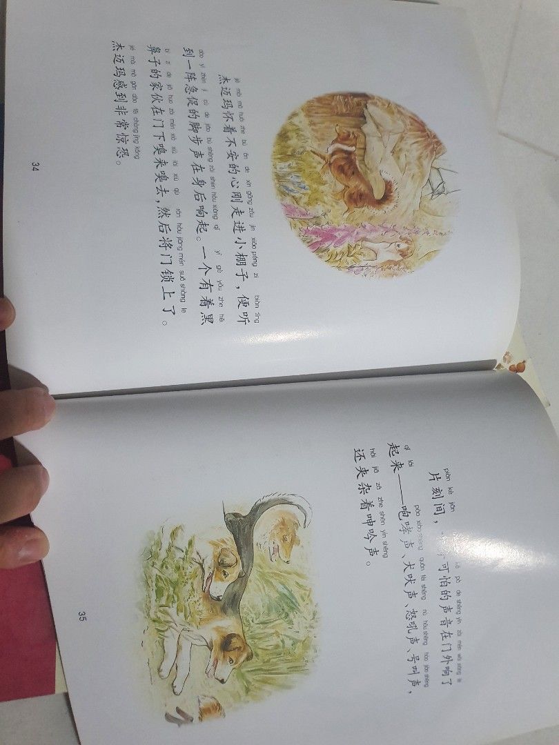 Beatrix Potter the World of Peter Rabbit chinese series, Hobbies & Toys ...