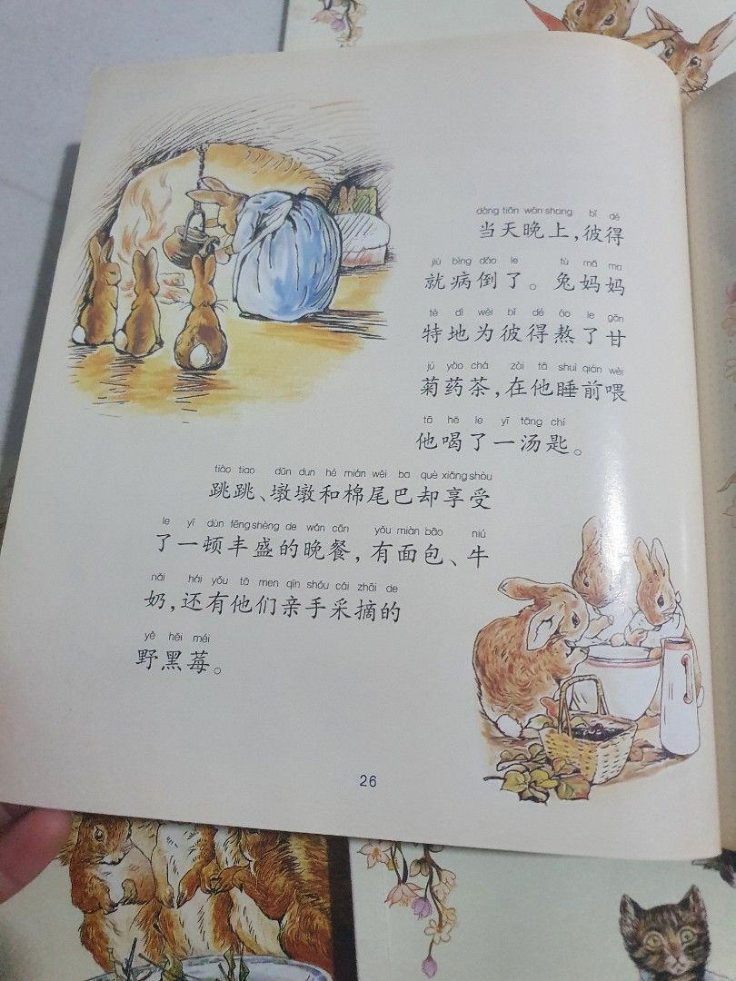 Beatrix Potter the World of Peter Rabbit chinese series, Hobbies & Toys ...