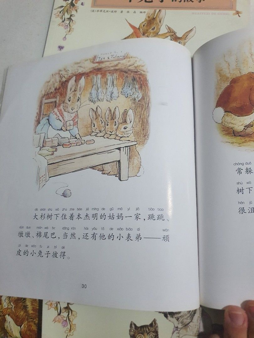 Beatrix Potter the World of Peter Rabbit chinese series, Hobbies & Toys ...