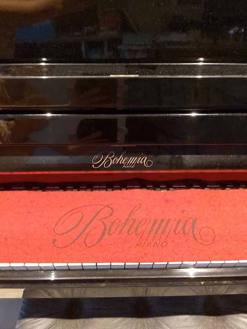 Bohemia Piano, Hobbies & Toys, Music & Media, Musical Instruments on ...