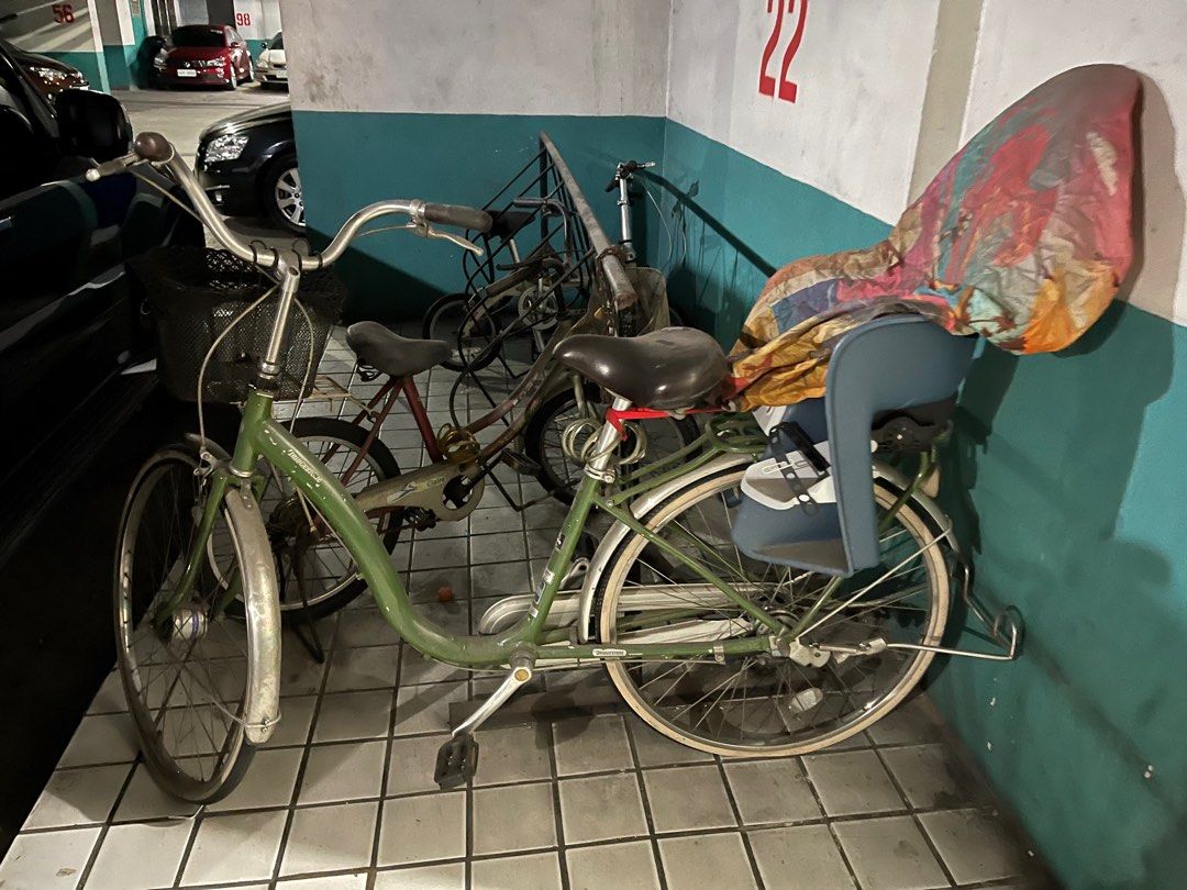 Bridgestone Japanese bike with Carrier, Sports Equipment, Bicycles ...