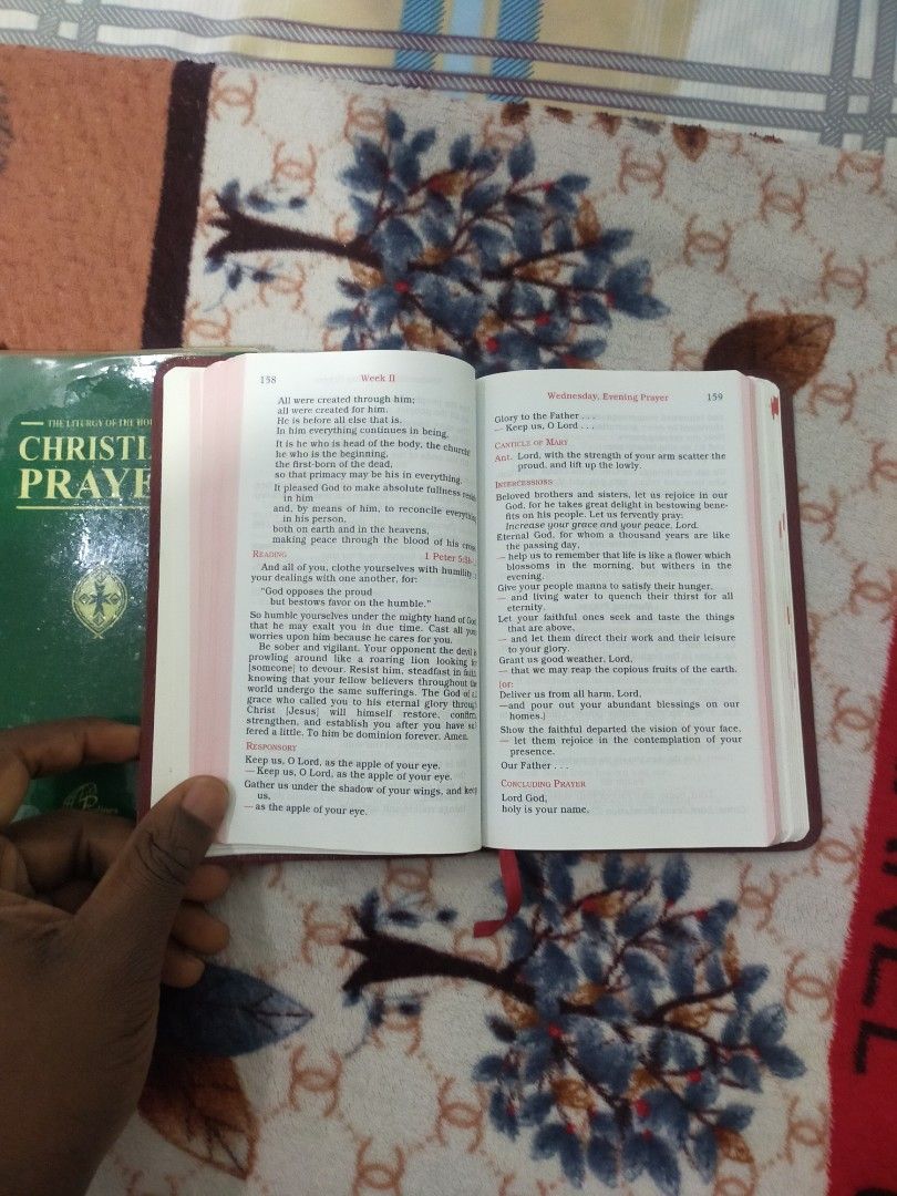 Christian Prayer Breviary, Hobbies & Toys, Books & Magazines, Religion ...