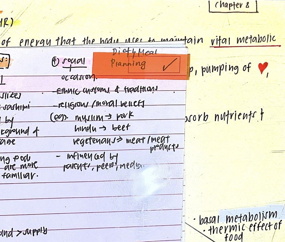 FOOD AND NUTRITION O LEVELS NOTES | NEW SYLLABUS 2022 NOTES, Hobbies ...