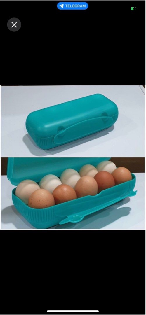 Tupperware eggs keeper (1), Furniture & Home Living, Kitchenware ...