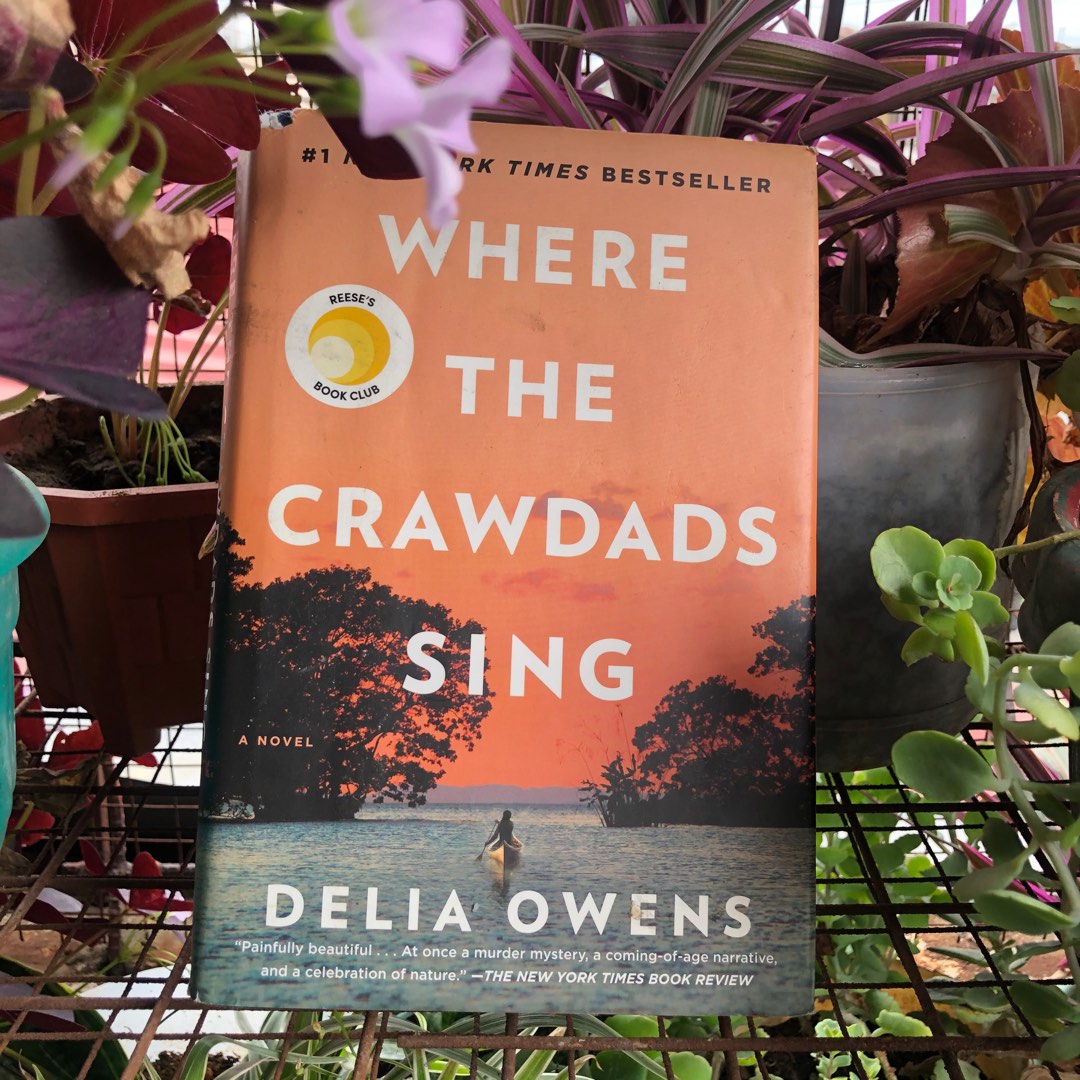 Where the Crawdads Sing, Hobbies & Toys, Books & Magazines, Fiction ...