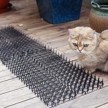 Defender Bird Spike Cat Dog Harmless Plastic Anti-Climbing Fence ...