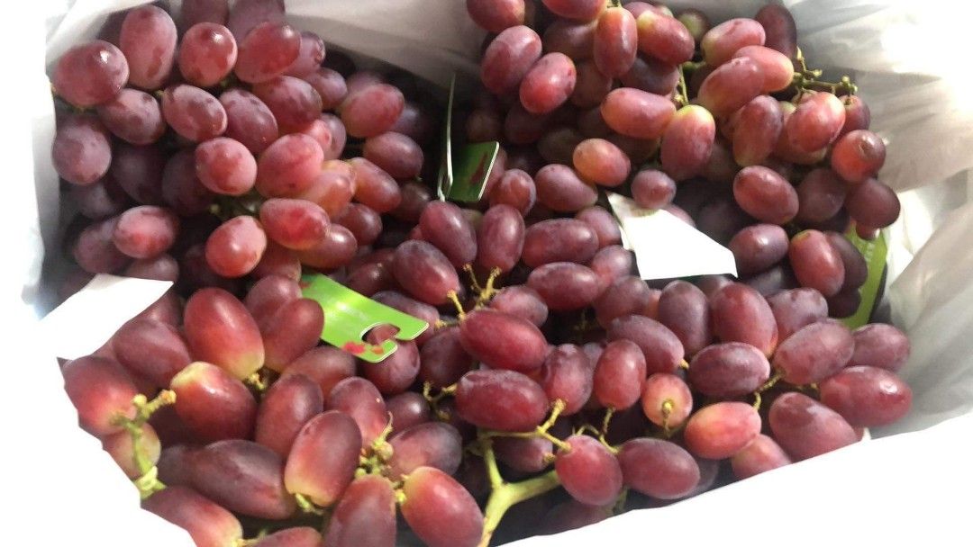 China Red Seedless Grapes 4.5kls, Food & Drinks, Fresh Produce on Carousell