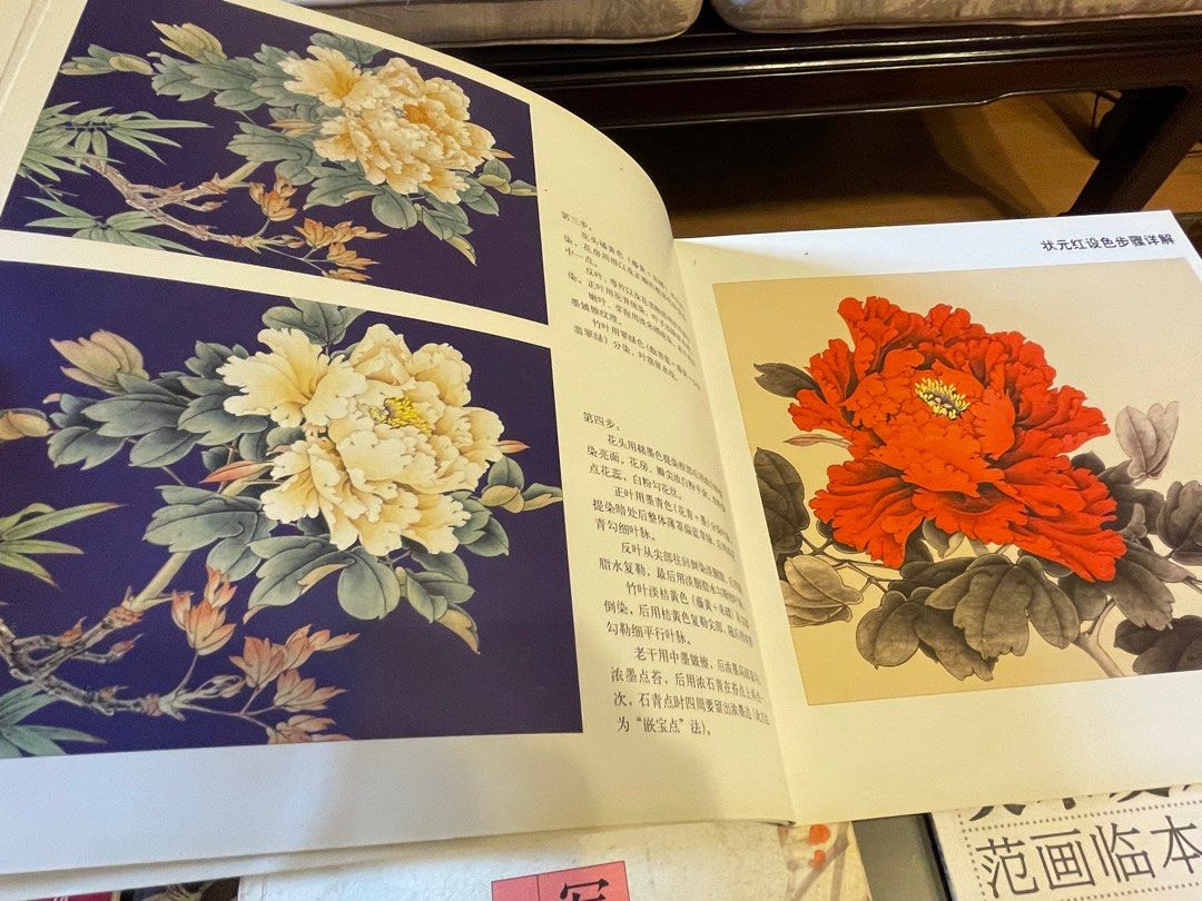 Chinese Painting Peony 牡丹花画册, Hobbies & Toys, Books & Magazines ...