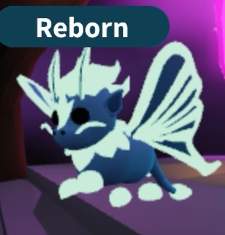 FG/Neon Ice Moth Dragon Adopt Me, Video Gaming, Gaming Accessories, In ...