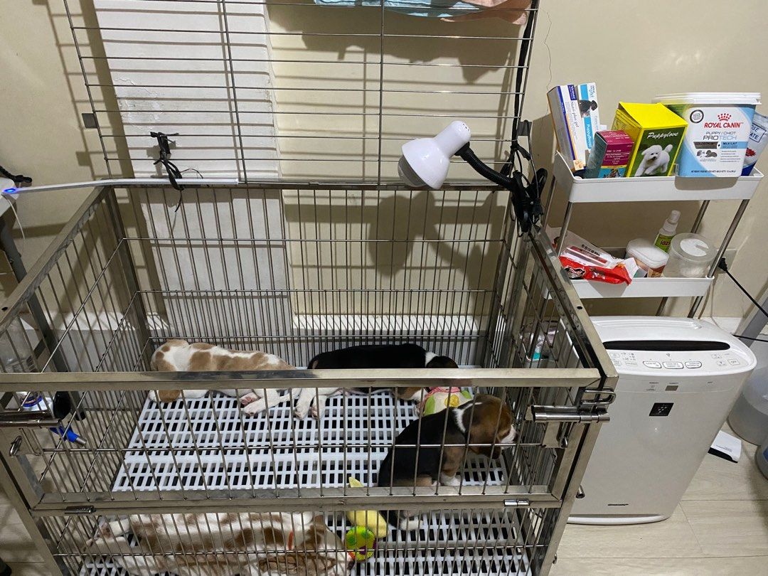 Stainless Whelping Cage (Crib Type), Pet Supplies, Homes & Other Pet ...