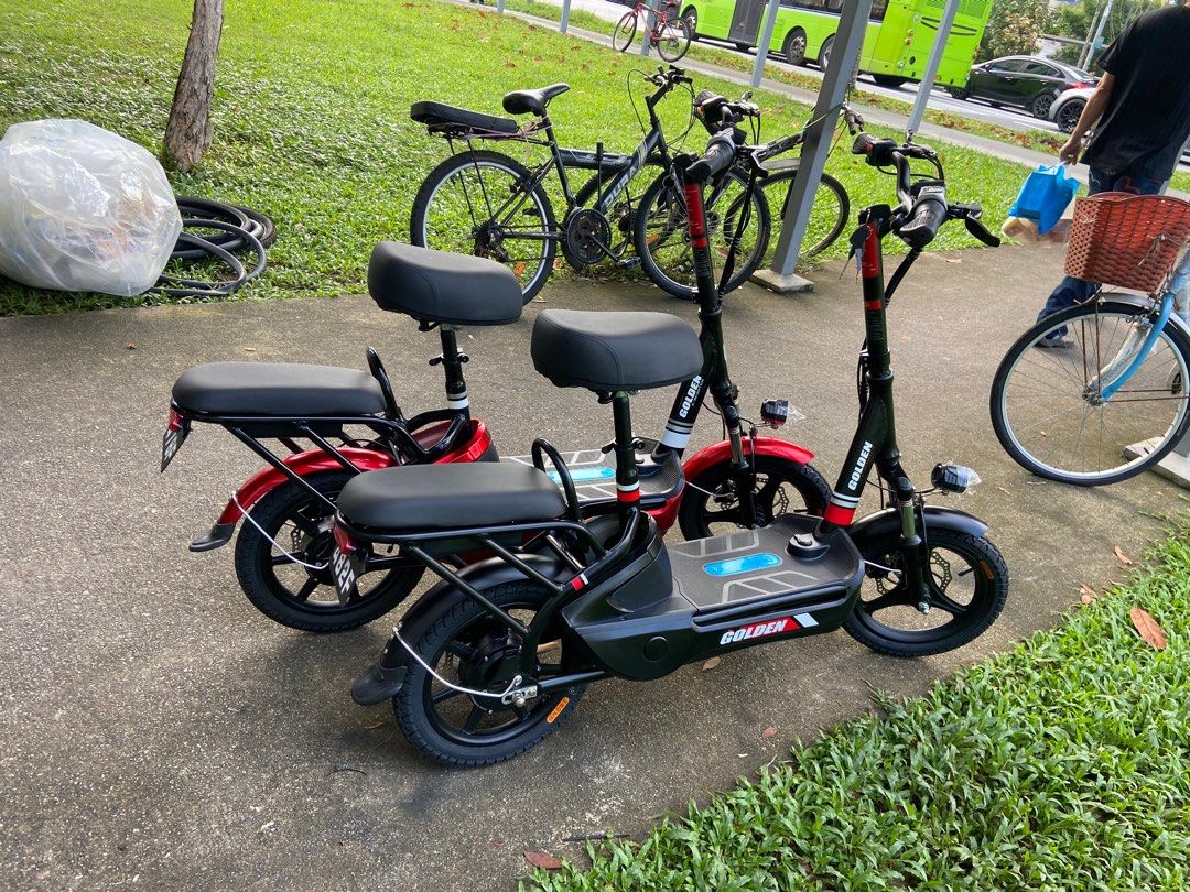 Golden Escooter /UL2272/En15194/36v/Ebike, Sports Equipment, PMDs, E-Scooters & E-Bikes, E ...