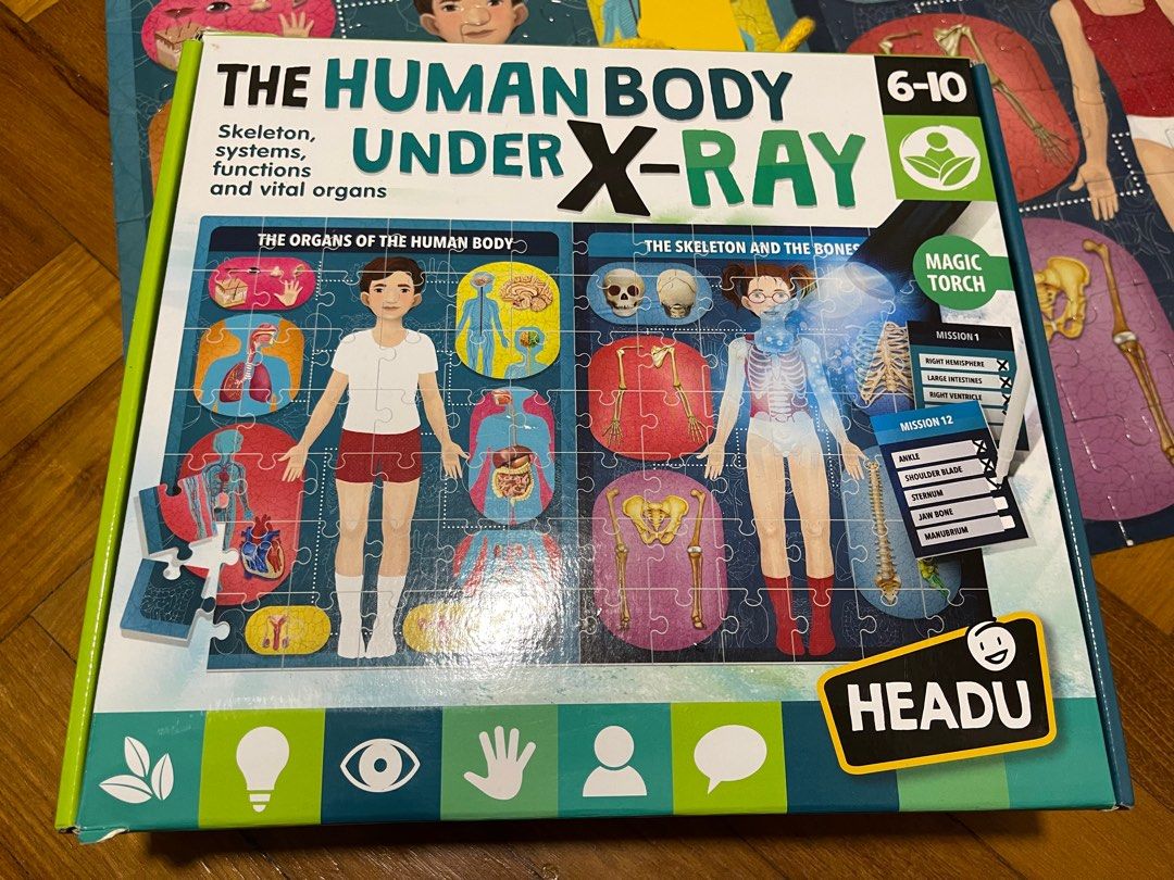 Human Body X-ray Jigsaw Puzzle Free Delivery , Hobbies & Toys, Toys ...