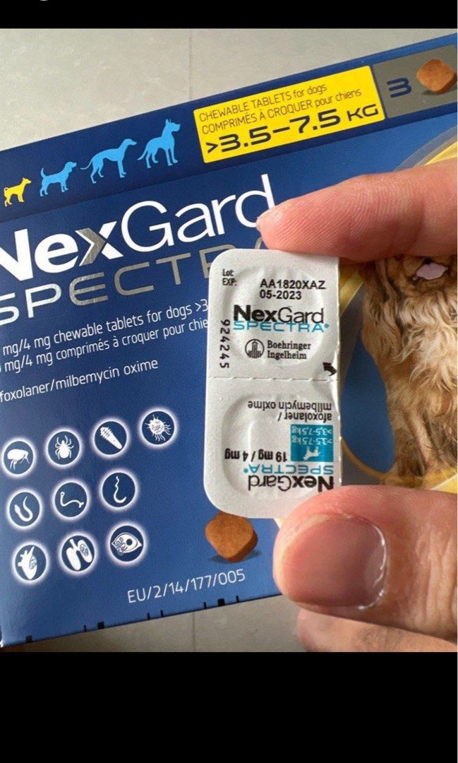 Nexgard spectrum (1tab)small dogs 3.5-7.5kg, Pet Supplies, Health ...