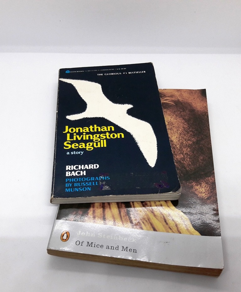 Of Mice and Men book bundle, Hobbies & Toys, Books & Magazines, Fiction ...