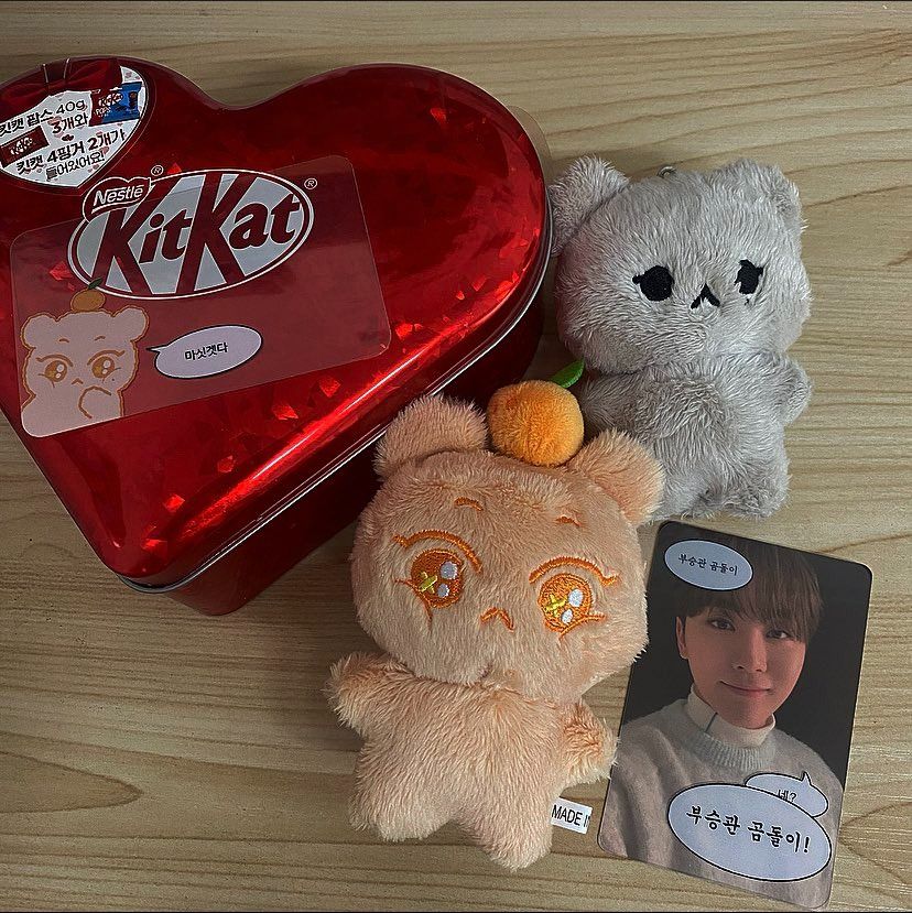 Seventeen SVT Seungkwan Pugyuli 10cm Tangerine Bear Doll by @bear_boo ...