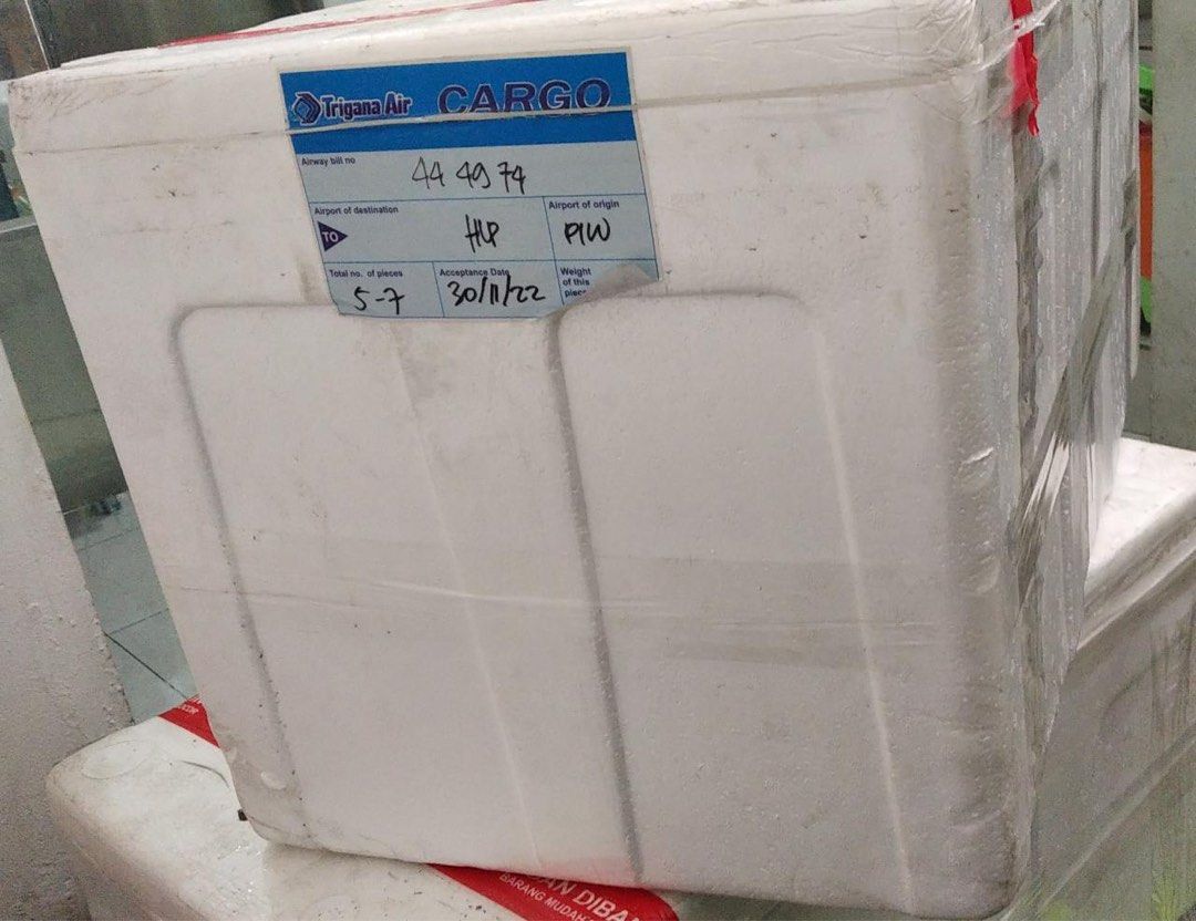 Styrofoam Box AG75 HIGH / Tinggi / Cargo / Container / Ikan / Fish ...
