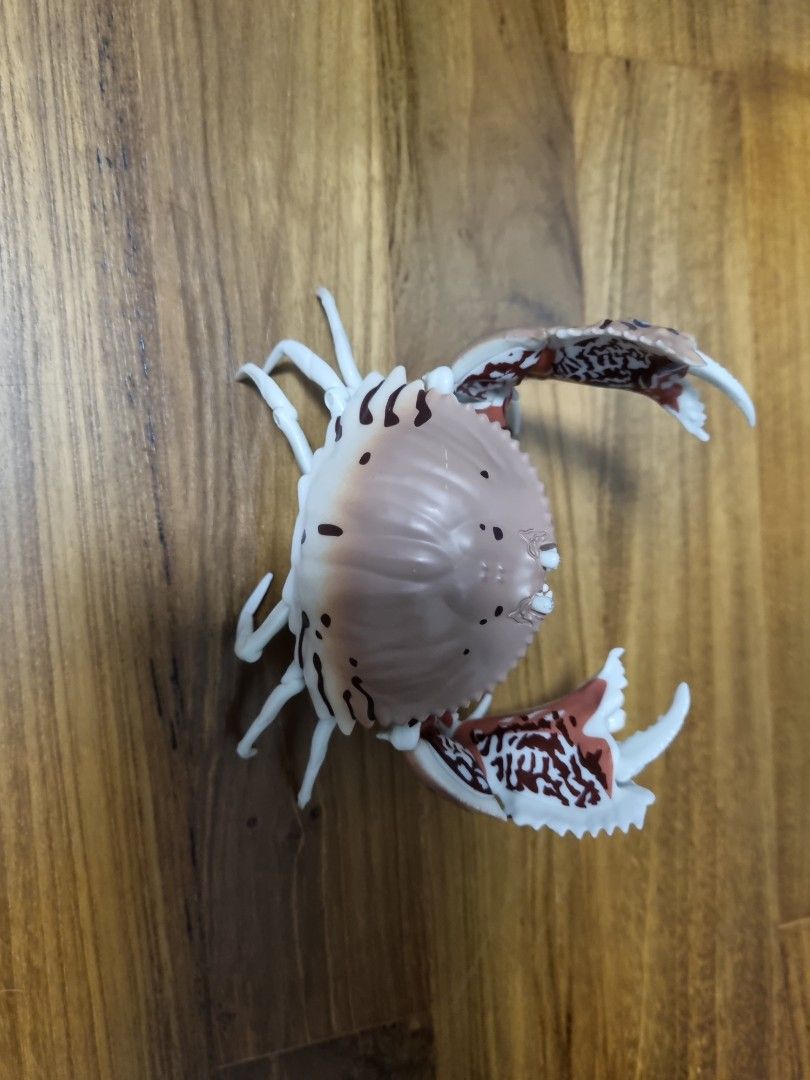 crab12$-alligator snapping turtle15$, Hobbies & Toys, Toys & Games on ...