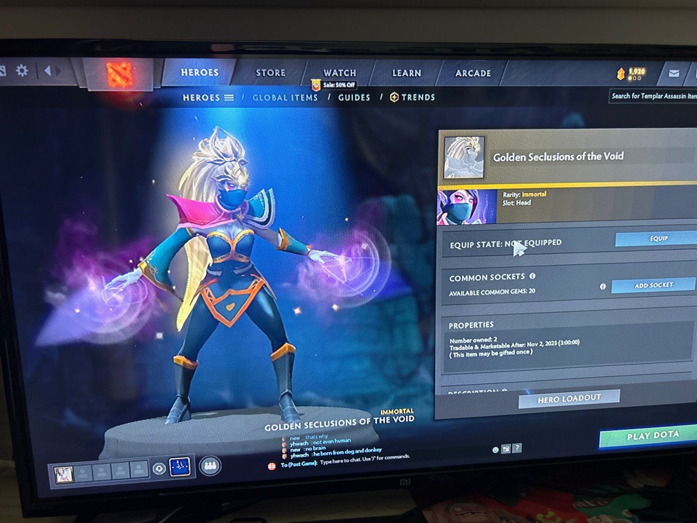 Dota 2 ti11 skin, Video Gaming, Video Games, Others on Carousell