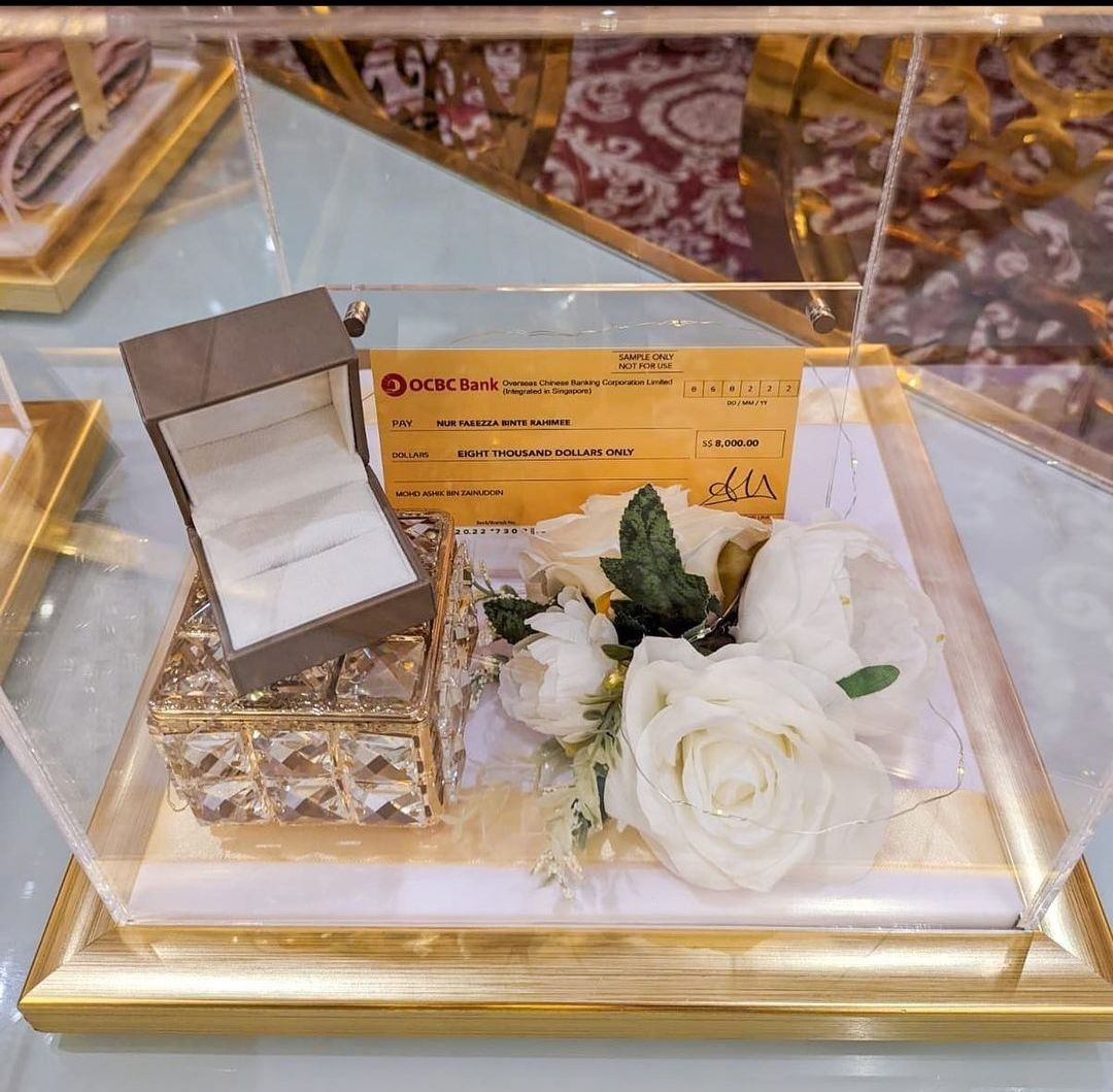 Mock Cheque English Only Mock Cheque Vector Art, Icons, And Graphics