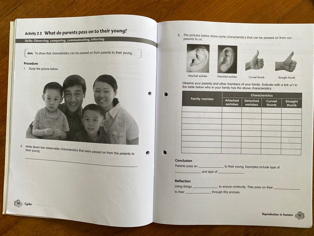 My Pals Are Here Cycles Workbook - 5&6, Hobbies & Toys, Books ...