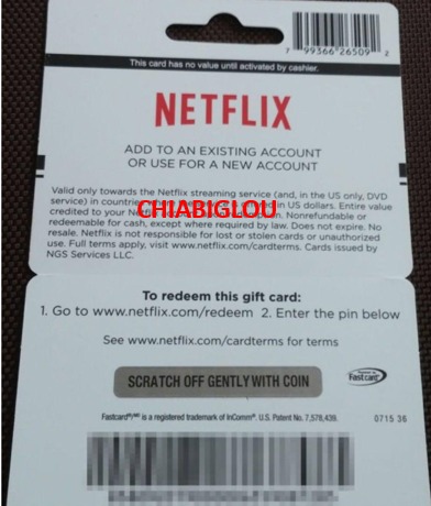 Netflix Credits/Giftcard, Tickets & Vouchers, Local Attractions ...