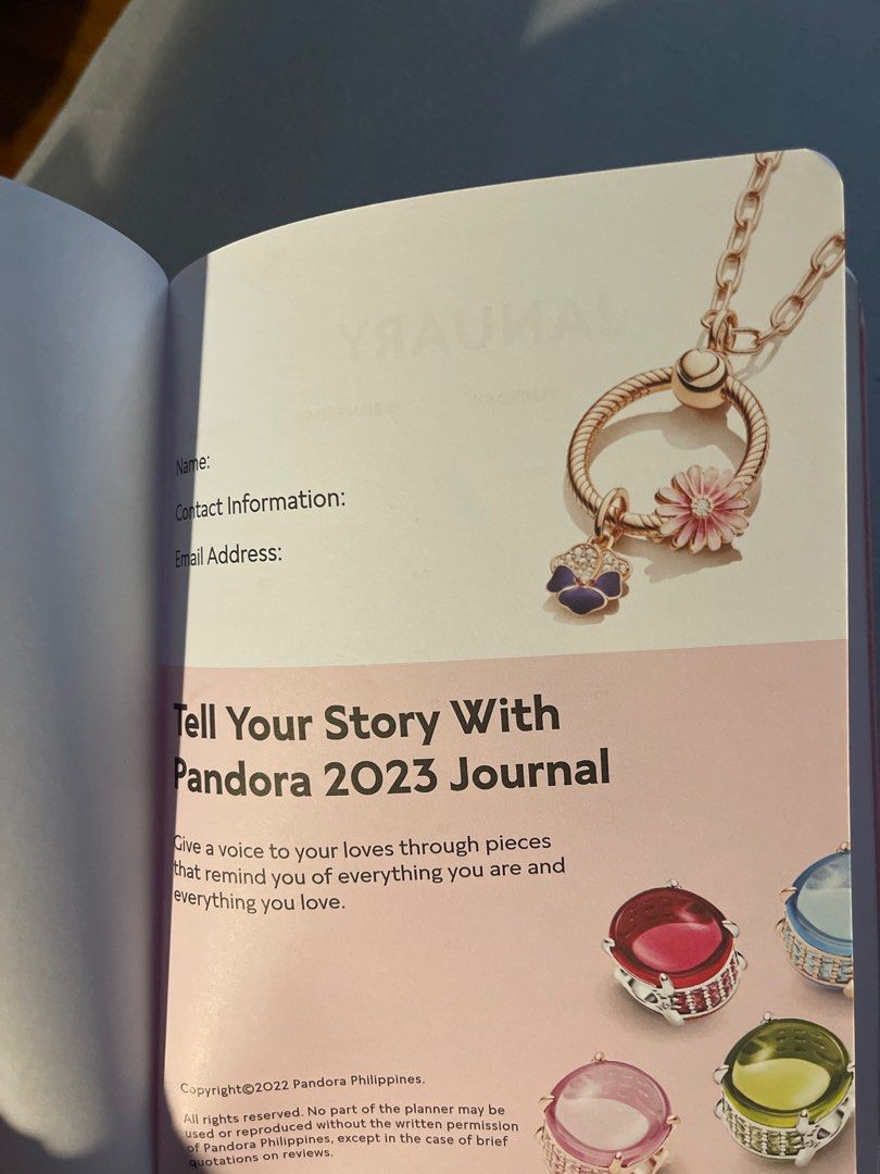Pandora Journal 2023 Book Diary, Hobbies & Toys, Stationery & Craft ...