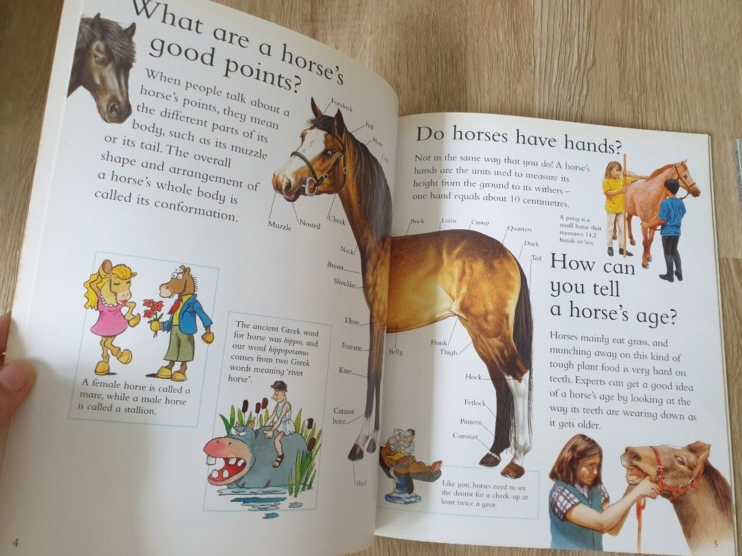 Thomas and Friends, Amos Lee, I wonder why, The Easter Story, Disney ...