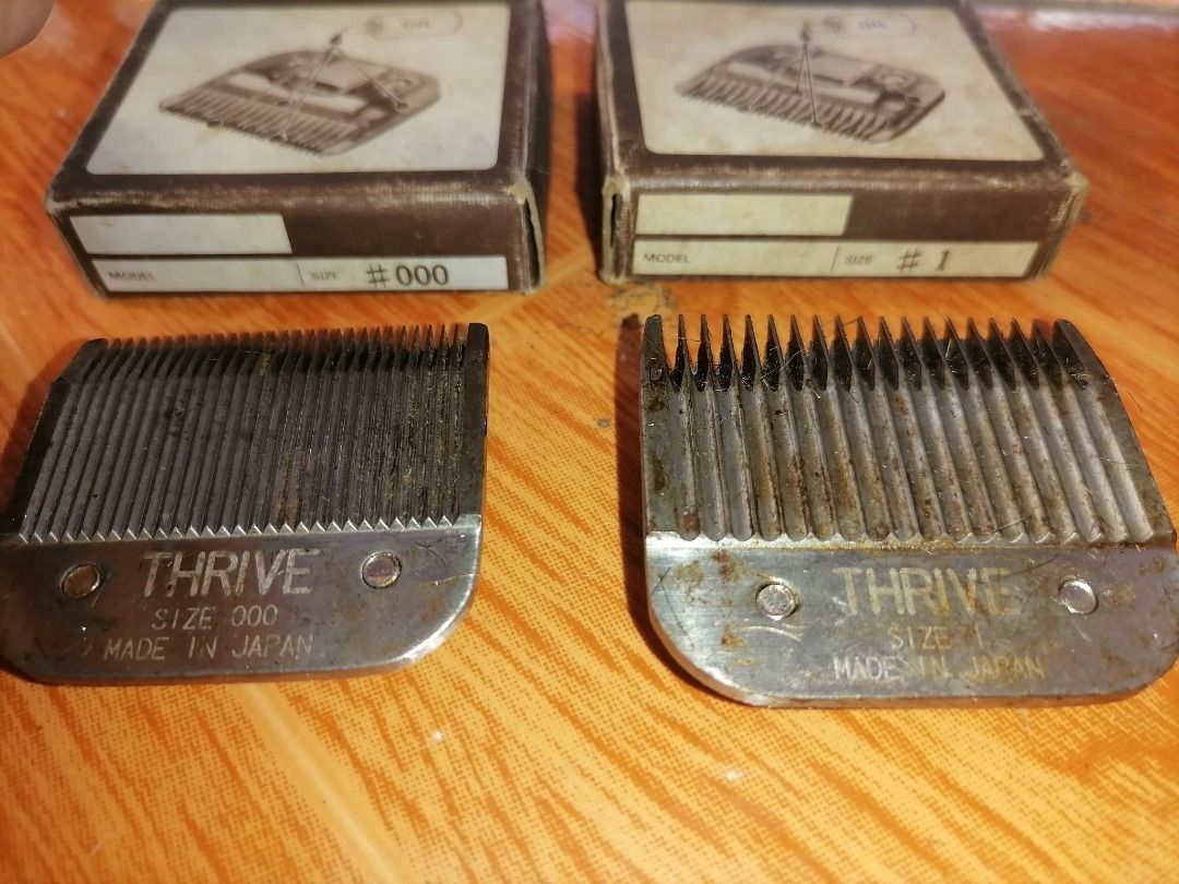 Thrive Electric Hair Clippers 220V, Beauty & Personal Care, Face ...