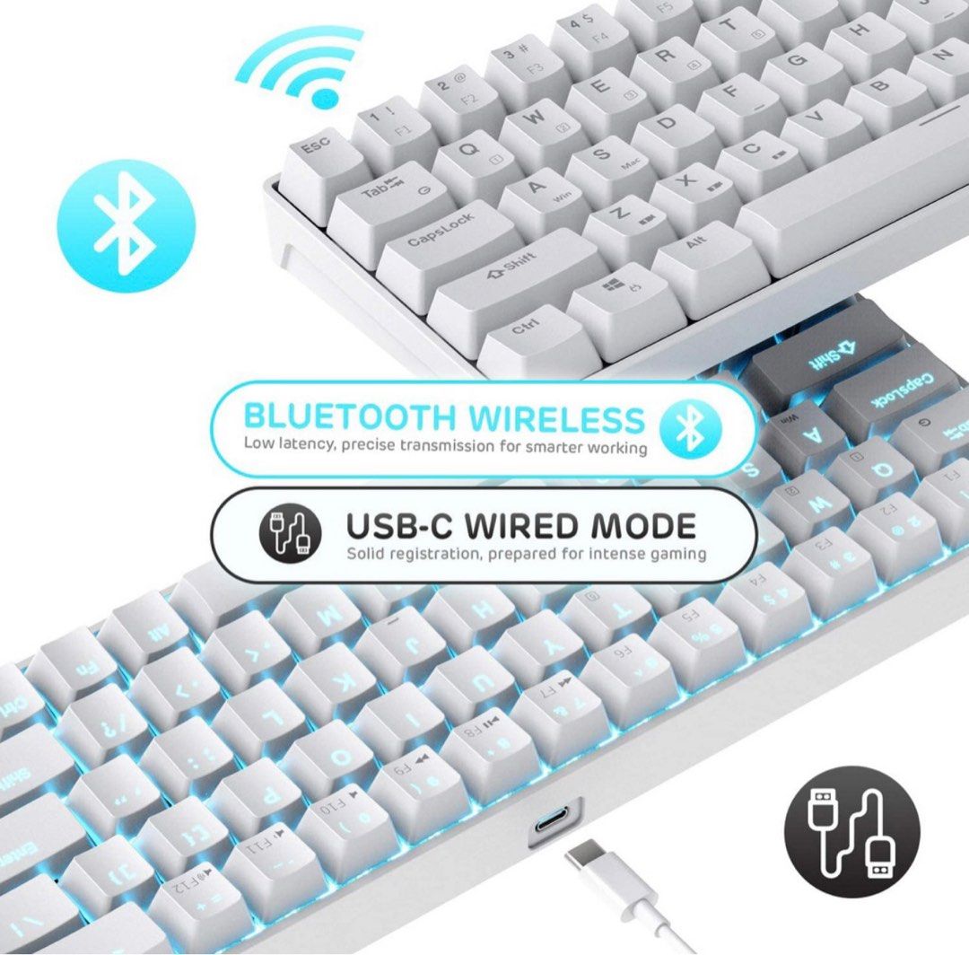 Wireless 65% Mechanical Keyboard Hot Swap (RGB, WHITELIT), Computers ...