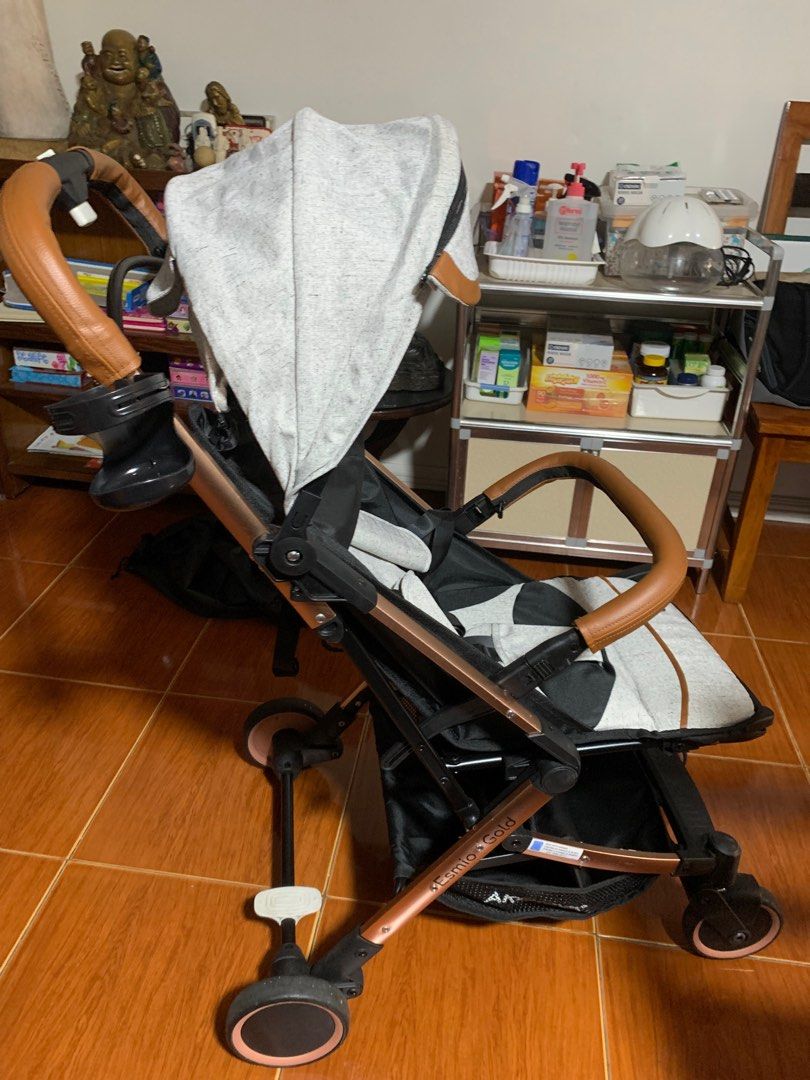 Akeeva Esmio Gold Stroller, Babies & Kids, Going Out, Strollers on ...