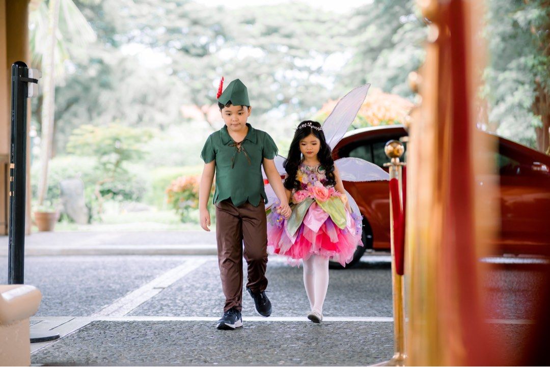 FAIRY TUTU DRESS, MODERN TINKER-BELL COSTUME, COSPLAY with FAIRY WINGS ...