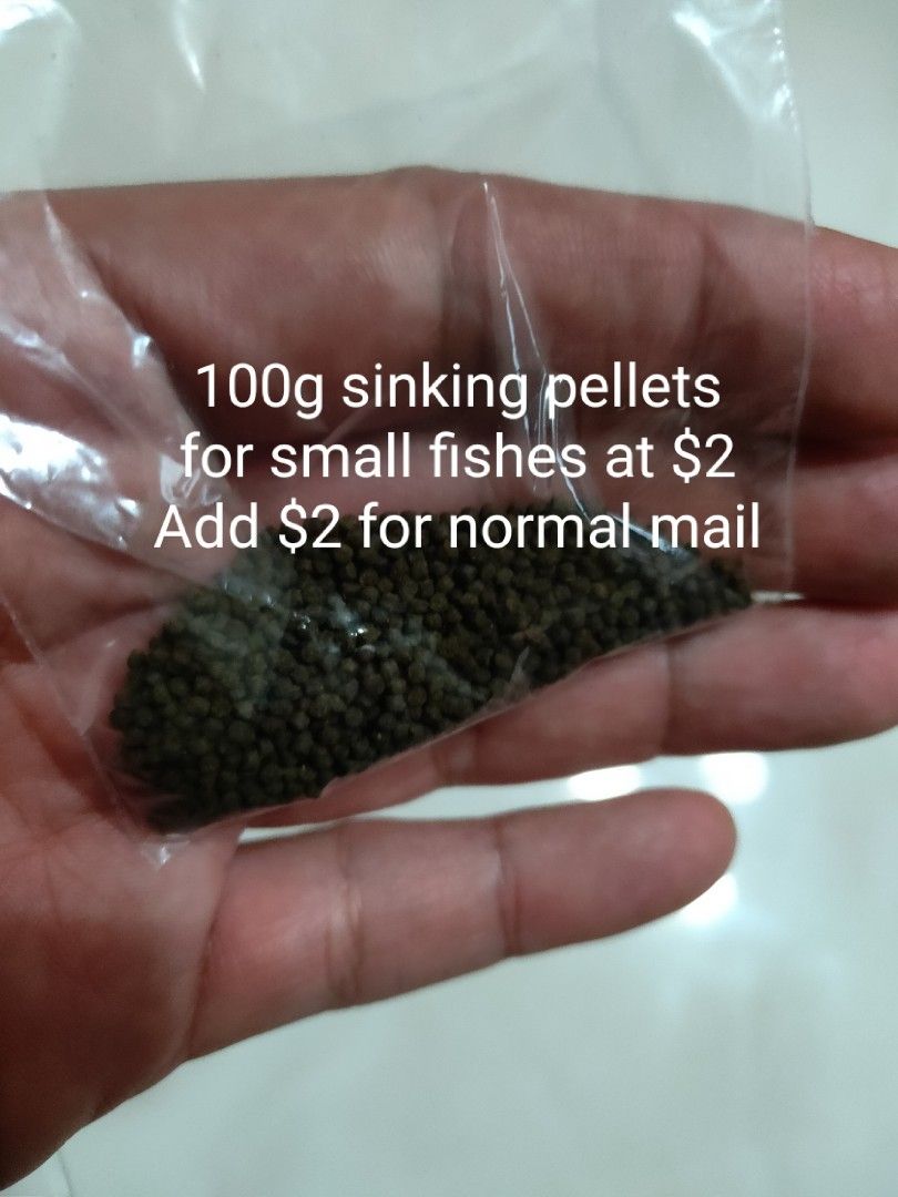 Fish food samples, microorganism, aquarium plants for guppies tetra ...