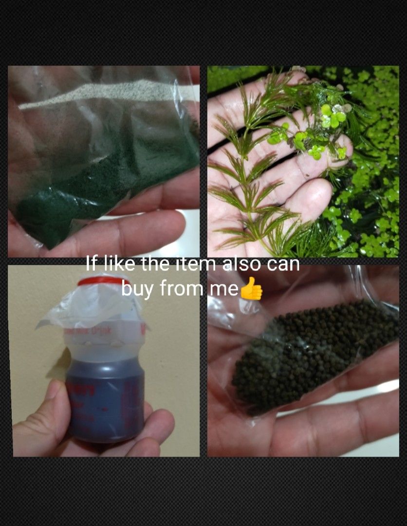 Fish food samples, microorganism, aquarium plants for guppies tetra ...