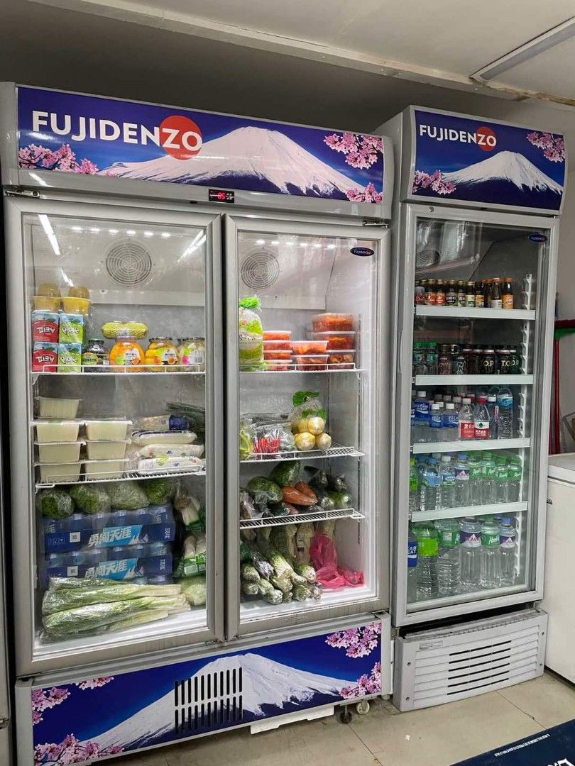 Fujidenzo Upright Chiller And freezer, TV & Home Appliances, Other Home ...