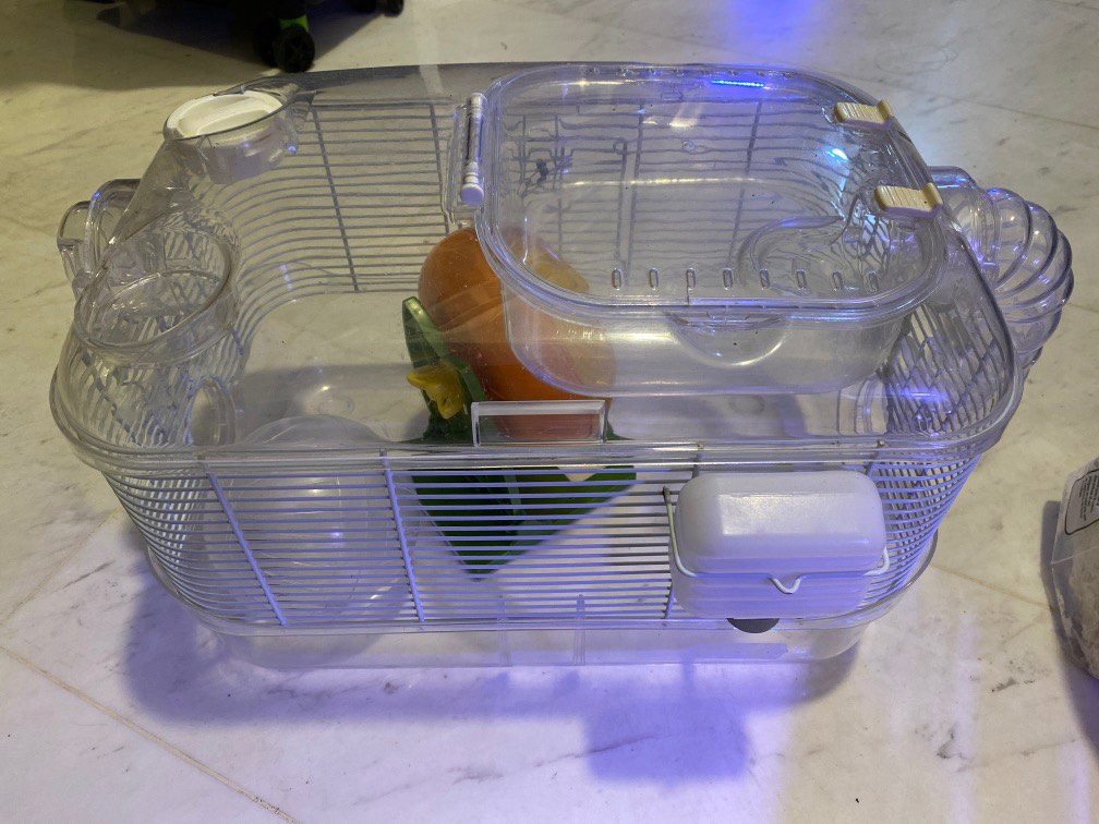 Hamster cage bundle, Pet Supplies, Homes & Other Pet Accessories on ...