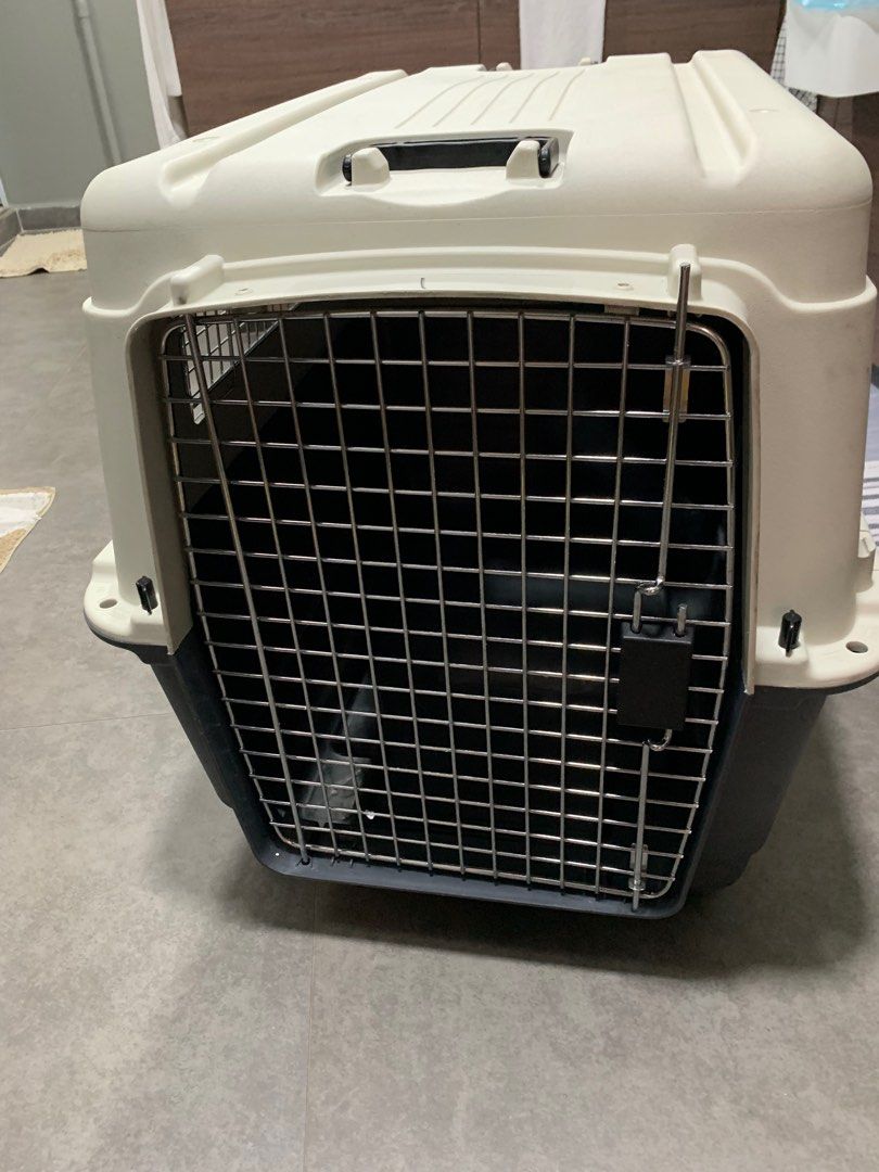 IATA approved pet cage, Pet Supplies, Homes & Other Pet Accessories on ...